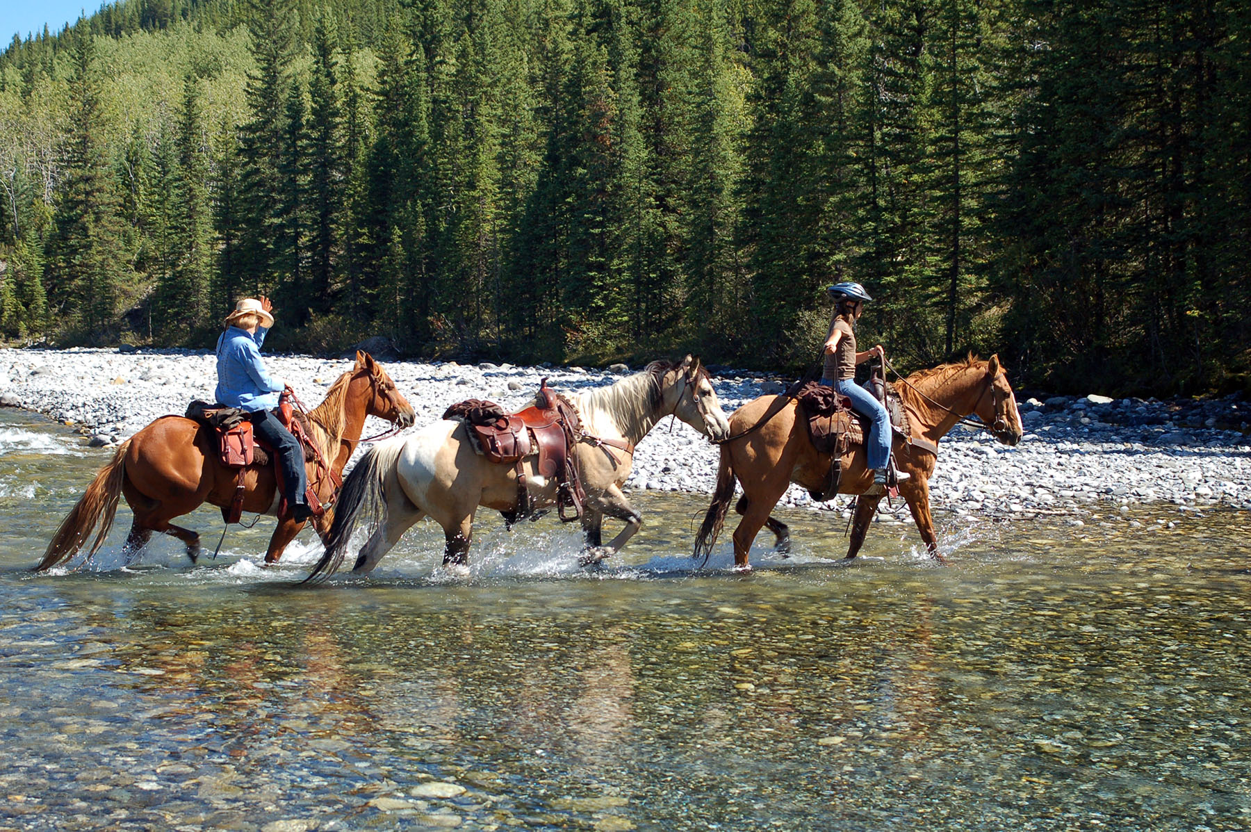 Best Horseback Riding in Crested Butte, Colorado (Local Guides)